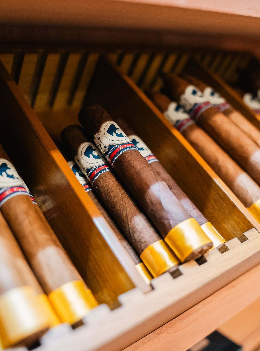 Fine Cigars in Skaneateles, NY | Sea Culture Brand – SEA CULTURE